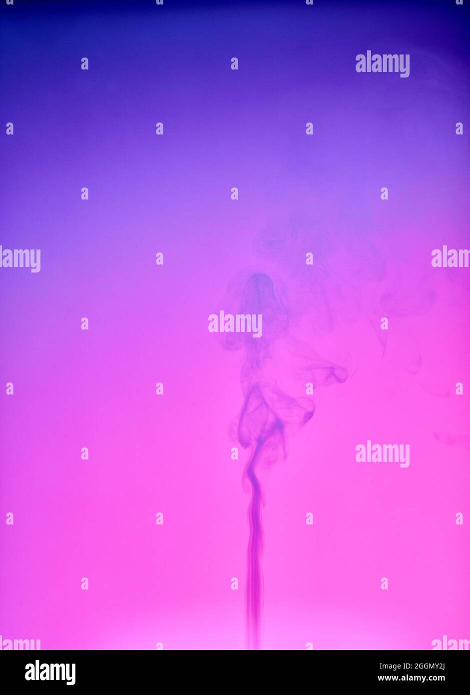 Smoke rising from diffuser with red blue purple neon gradient light ...