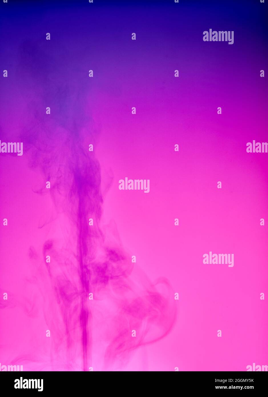 Smoke rising from diffuser with red blue purple neon gradient light ...