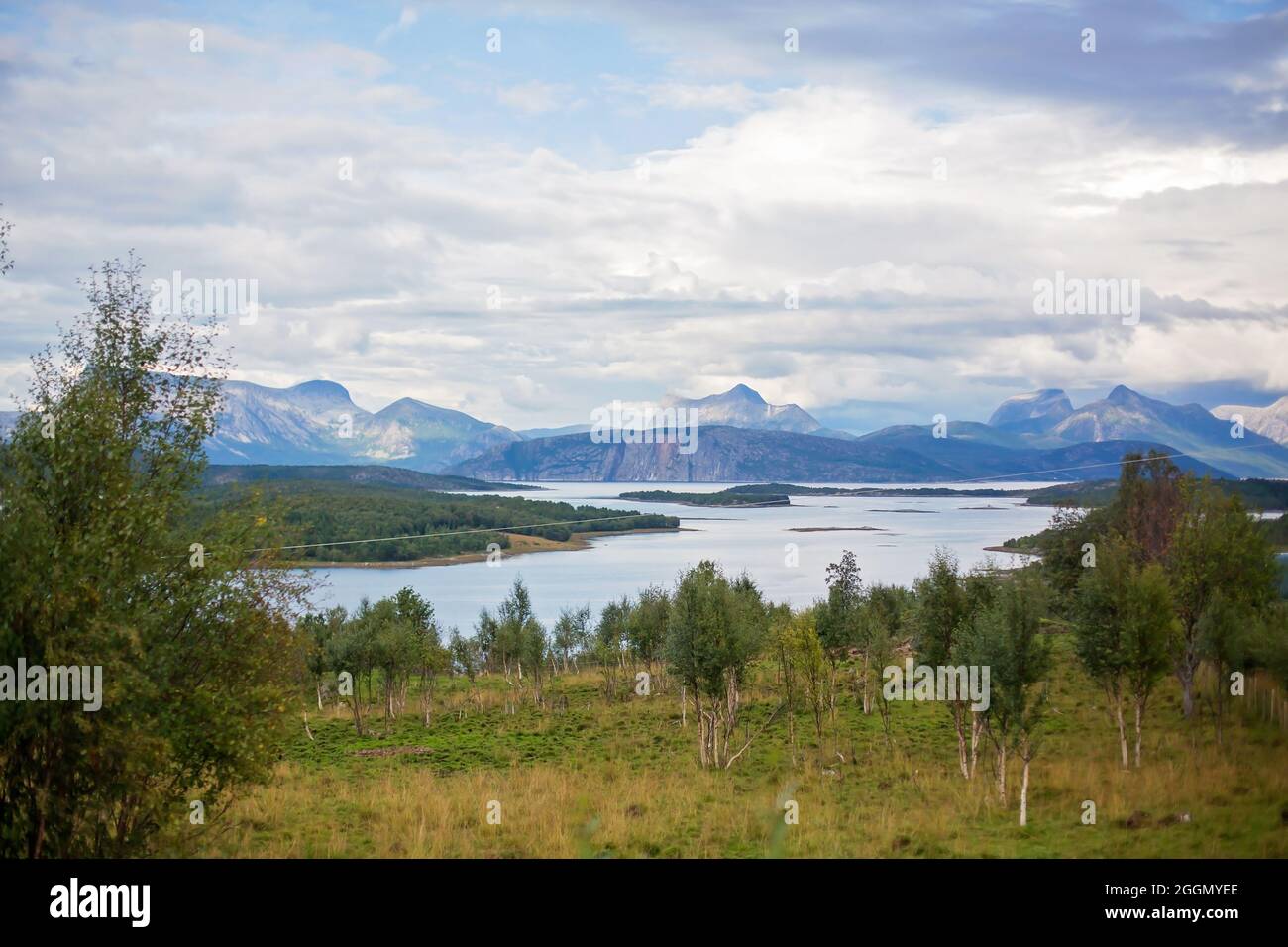Beautiful landscape in Norway with fjords, trees and beautiful sky ...