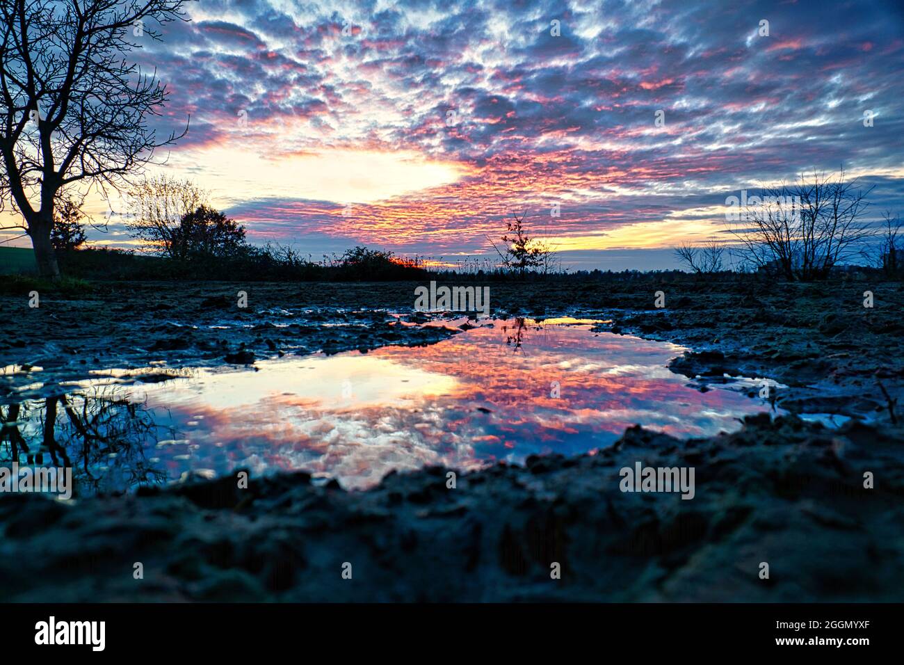 dramatic sunset reflected in a puddle, between mud and water sunset is ...