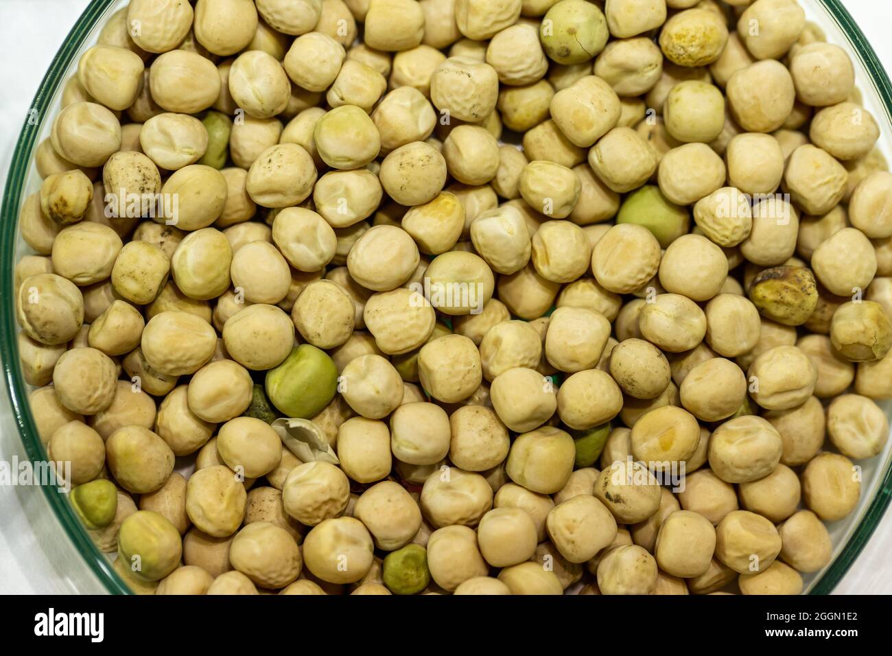 Soy seeds in a petri dish in the lab Stock Photo - Alamy