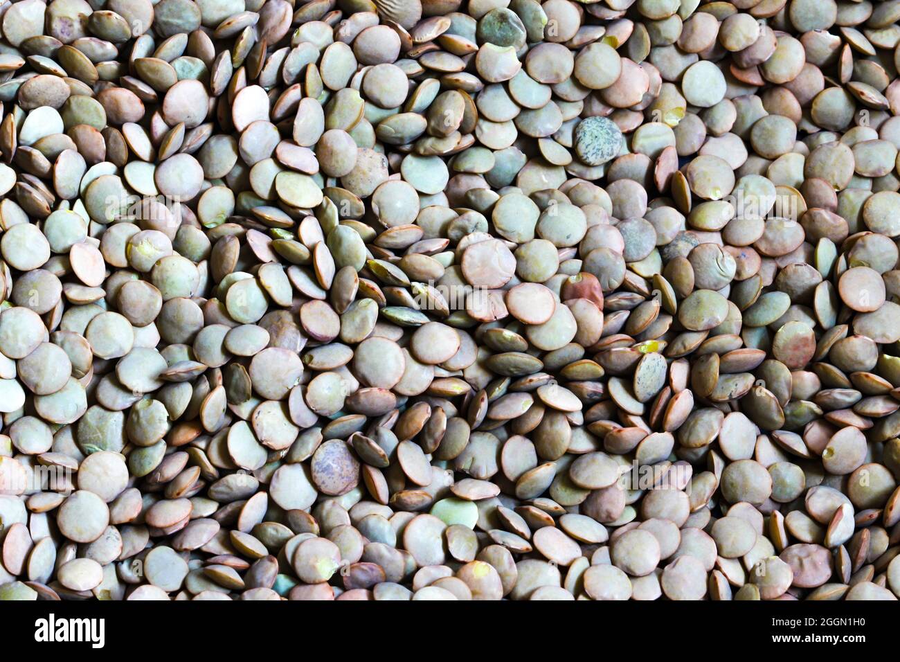 Green lentils, detail texture background, closeup of lentils background ...