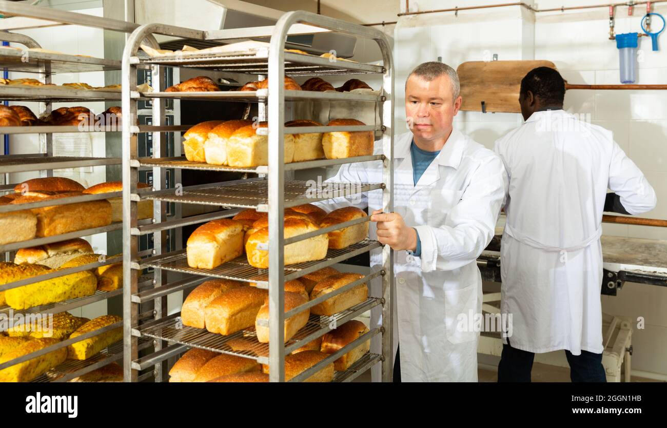 Bakery worker carrying trolley rack with bread Stock Photo - Alamy