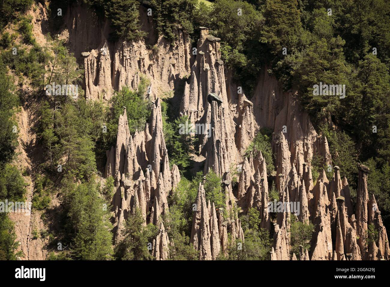 Earth pyramids in Renon in South Tyrol Stock Photo - Alamy