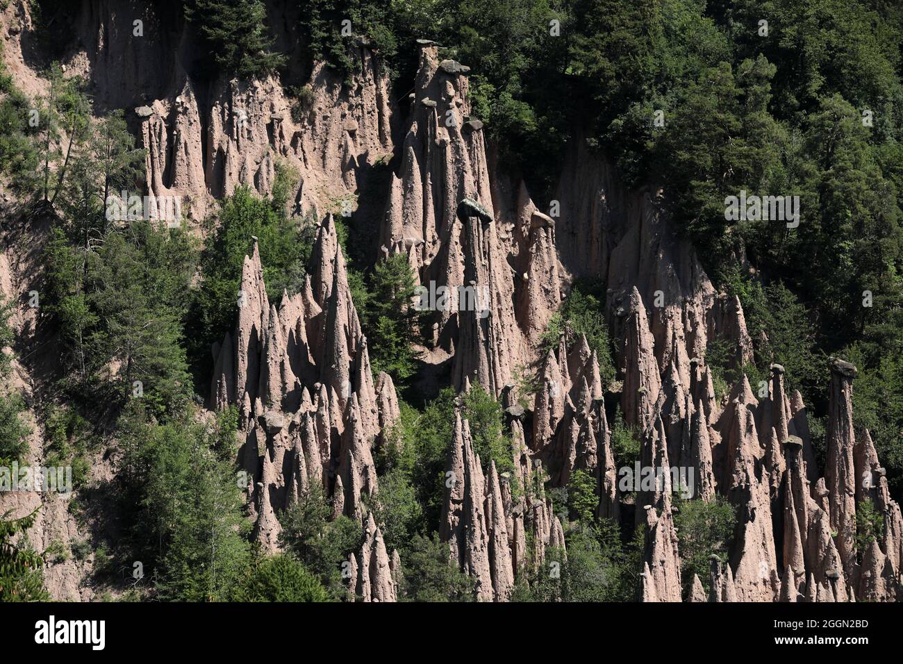 Earth pyramids in Renon in South Tyrol Stock Photo - Alamy
