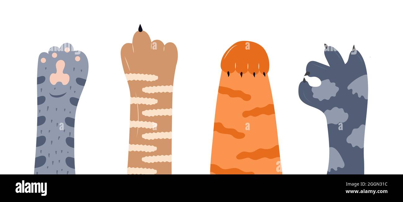 Cats paw vector set. Pet feet in hand drawn style. Paws of fluffy ...