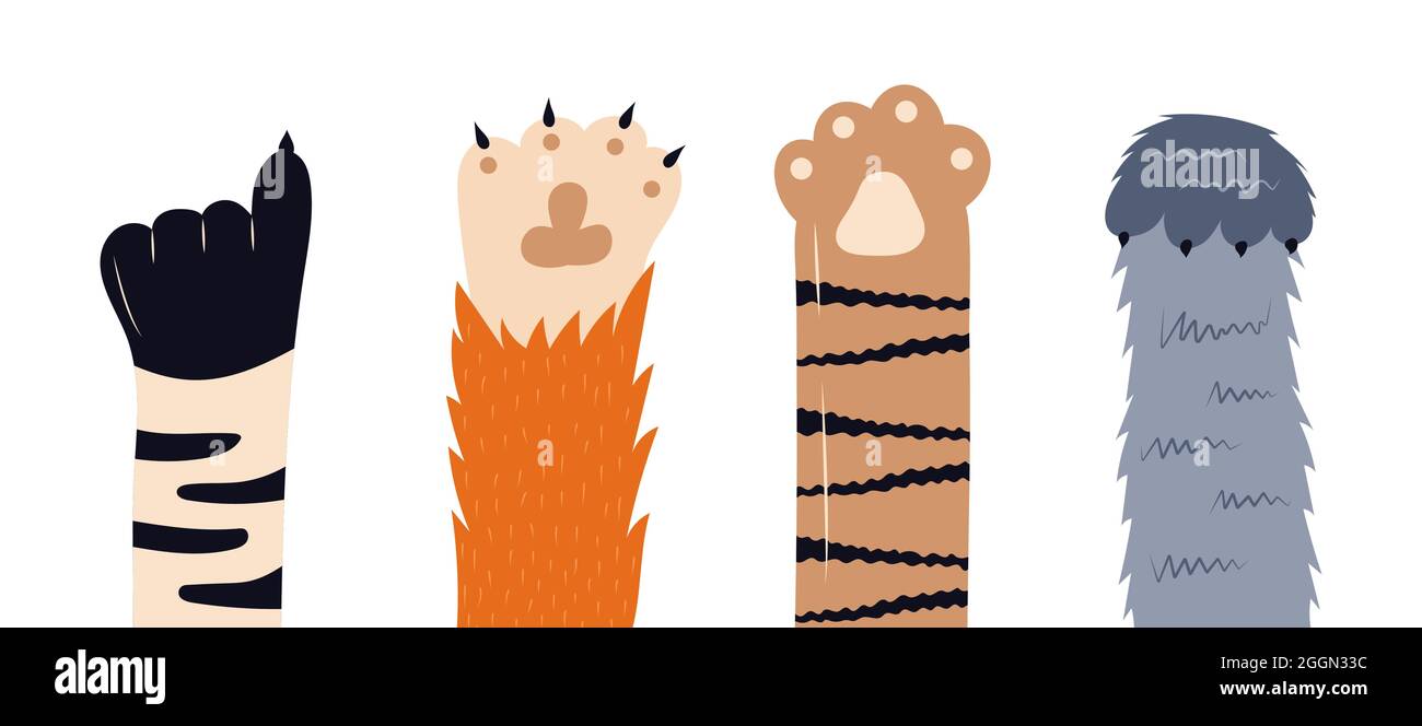 Cats paw vector set. Pet feet in hand drawn style. Paws of fluffy ...