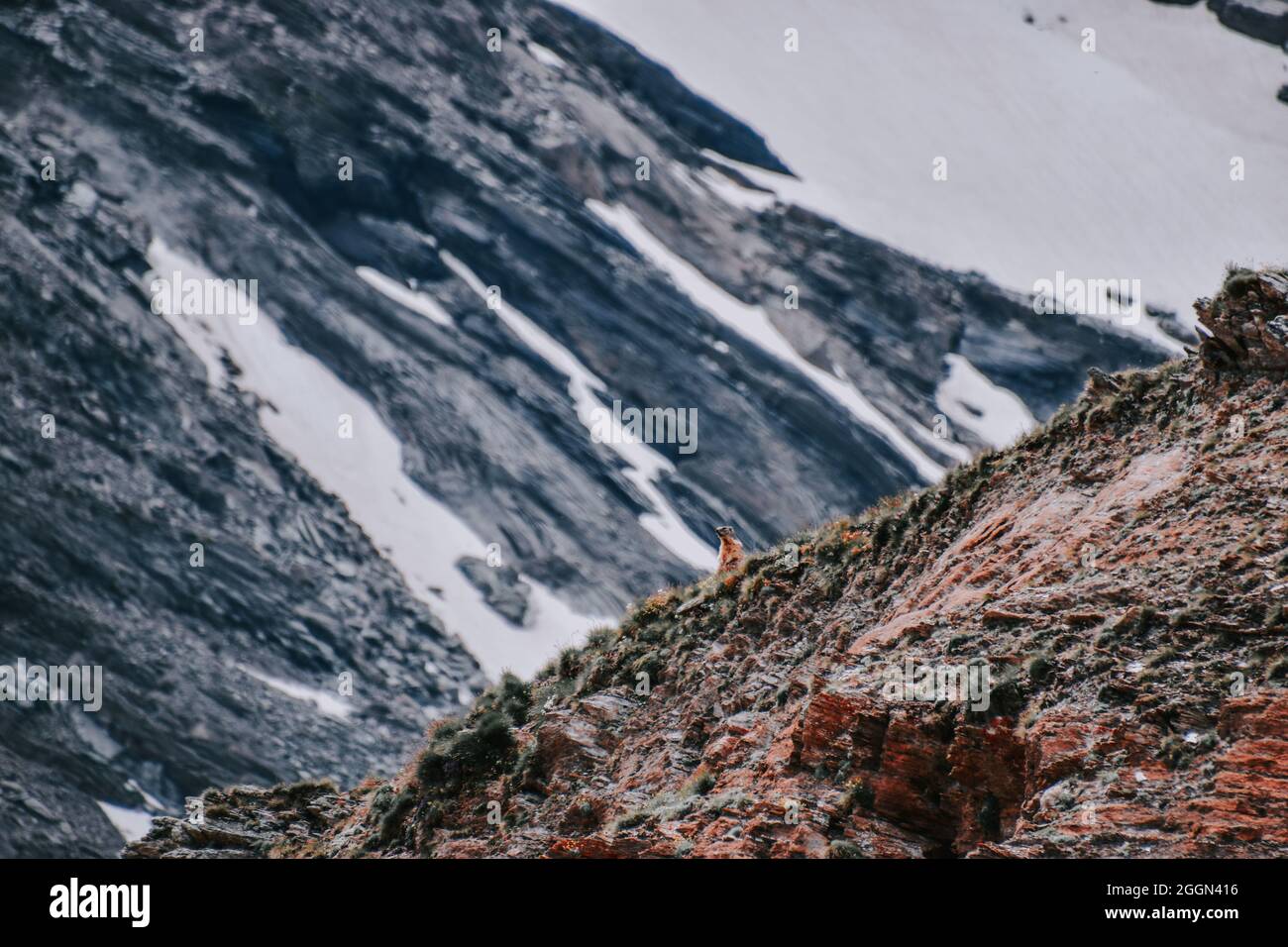 Beautiful view of a rocky glider mountains and icy hills in Gran ...