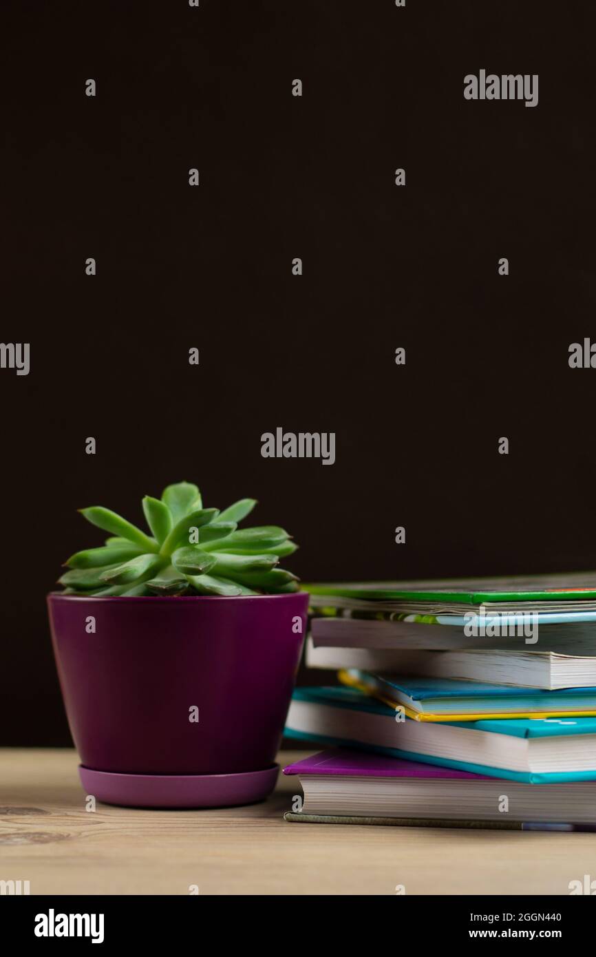 Pot stack hi-res stock photography and images - Alamy