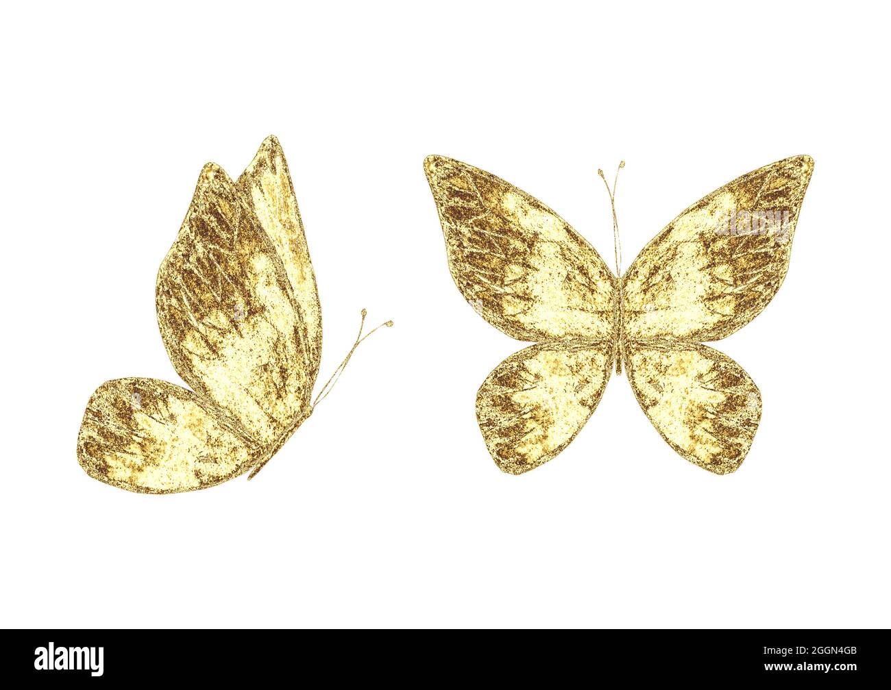 Botanical summer set of yellow golden color butterflies. Hand drawn ...