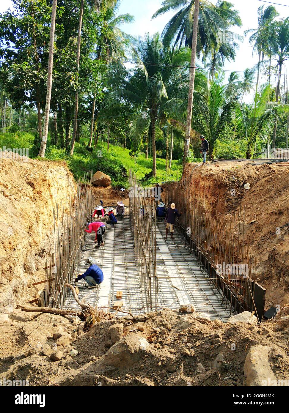 Construction in the jungle forest. Workers are pouring concrete into ...