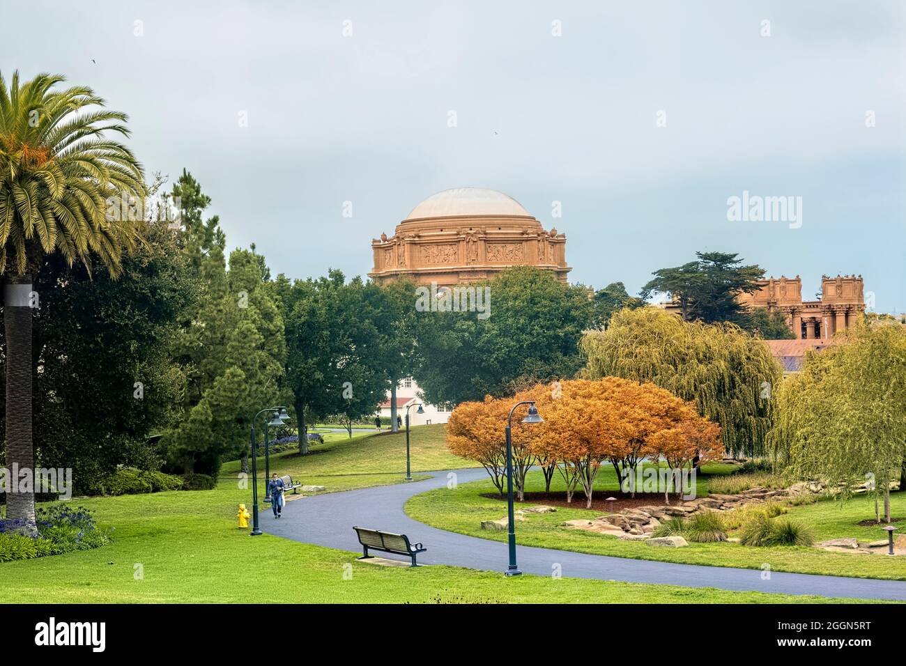 San francisco presidio park hi-res stock photography and images - Alamy