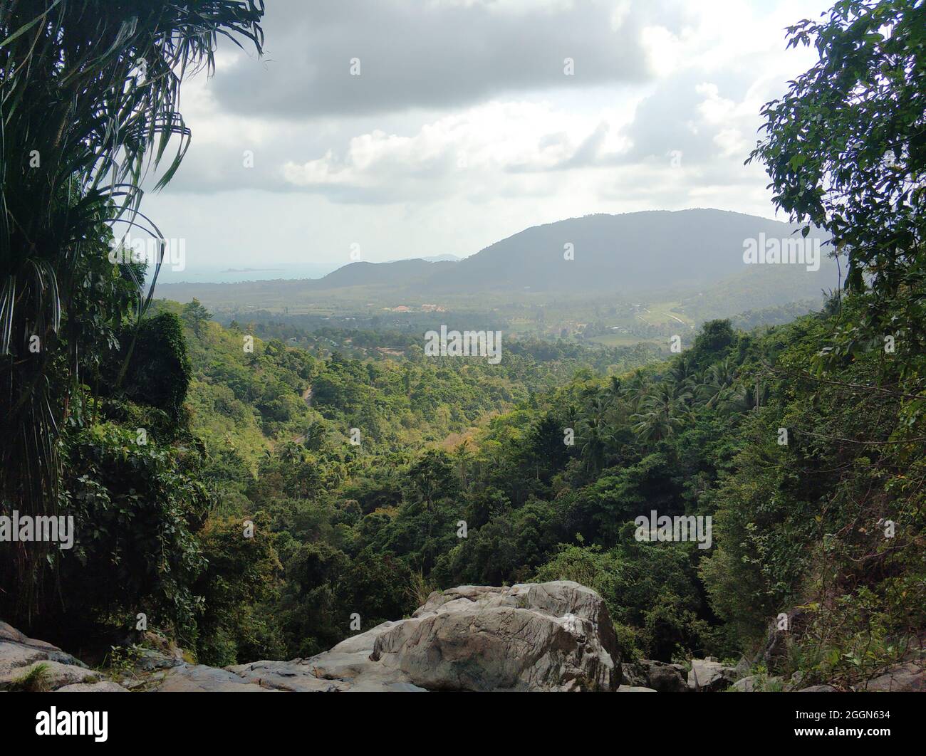 Jungle valley landscape view from the cliff Stock Photo - Alamy