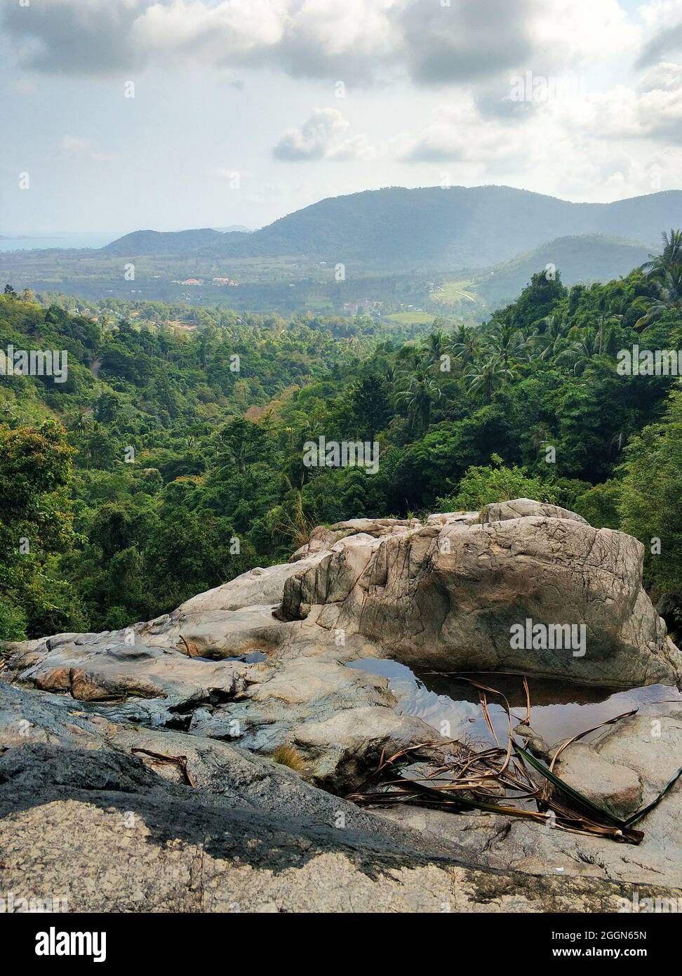 Jungle valley landscape view from the cliff Stock Photo - Alamy