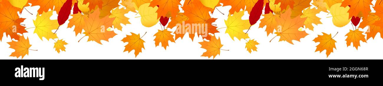 Autumn banner overlay with falling maple leaves Stock Vector Image ...