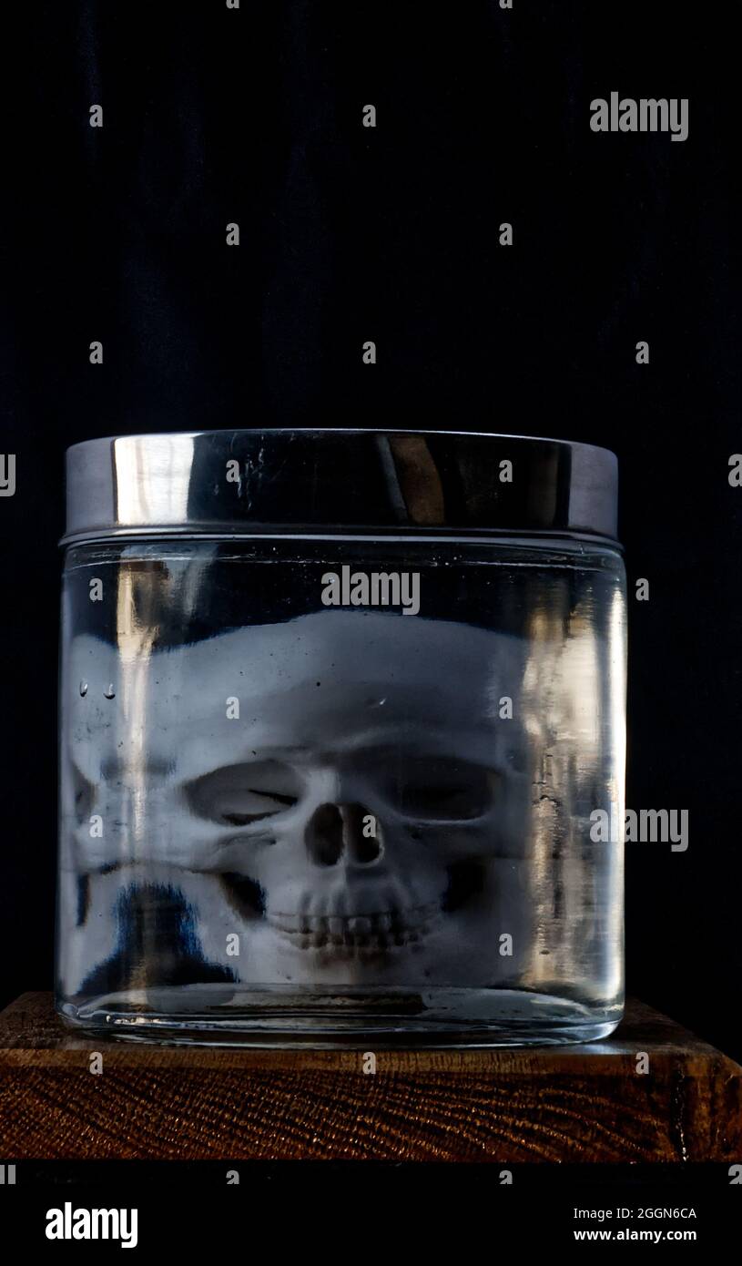 human skull distorted by looking through oval jar of water, still life ...