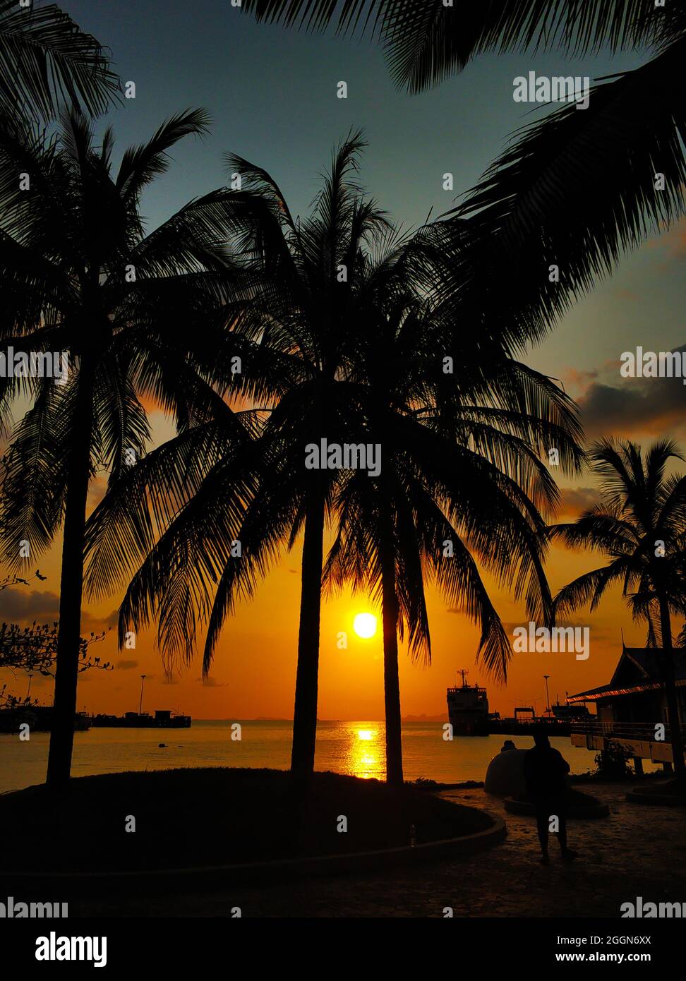 Tropical island, palms on the background of the sunset sky Stock Photo ...