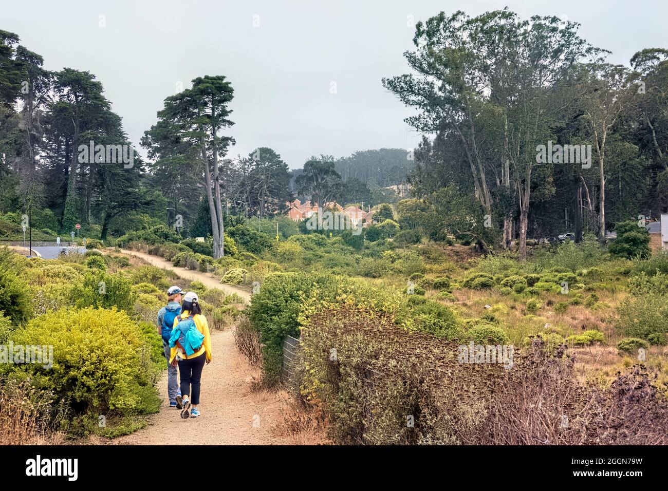 San francisco presidio park hi-res stock photography and images - Alamy