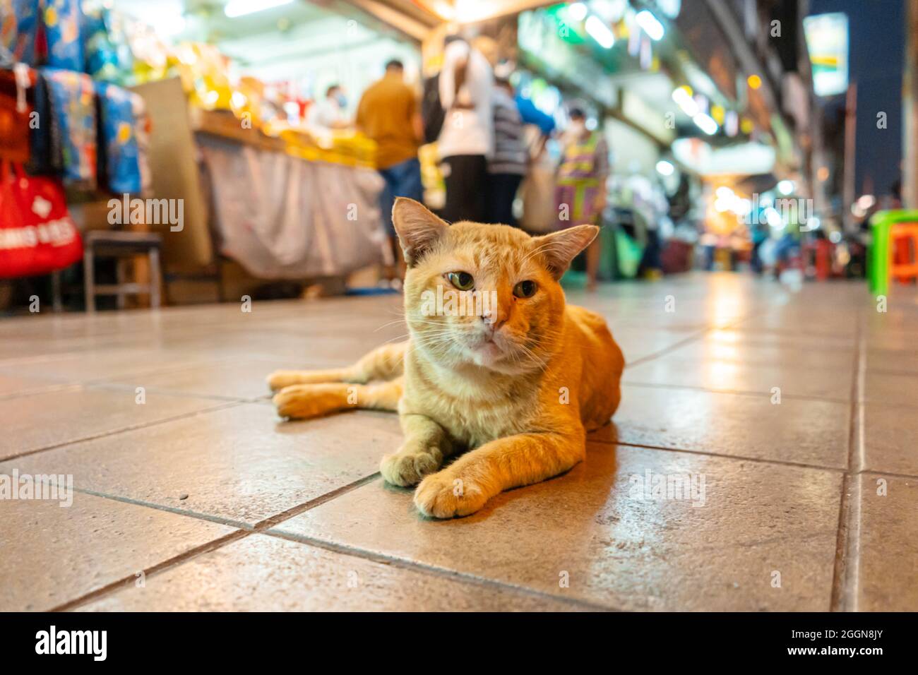 Antics market hi-res stock photography and images - Alamy