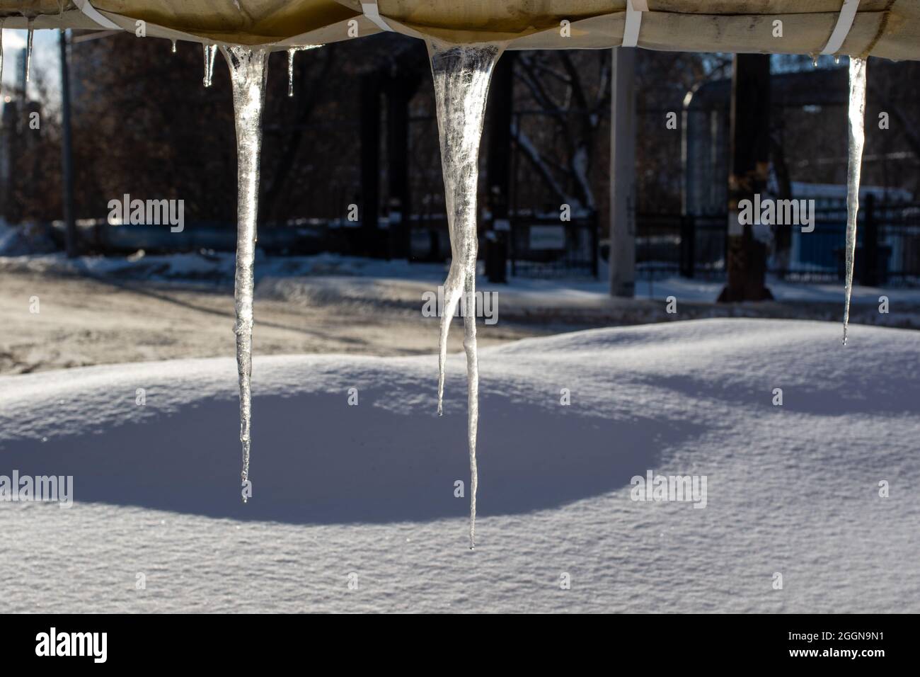 Long transparent icicles hang from the roof. Icicles are beautifully ...