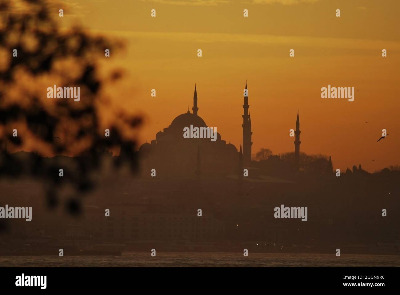 Sunset Sultanahmet Blue Mosque in Sultanahmet, Istanbul City, Turkey ...