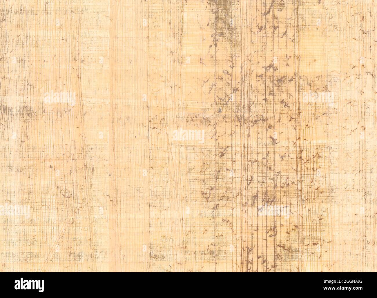 Light Papyrus Texture