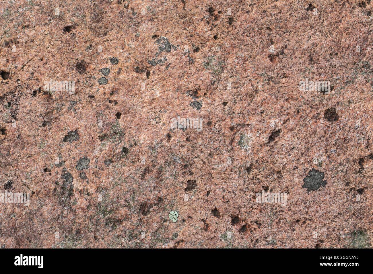 Igneous rock texture hi-res stock photography and images - Alamy