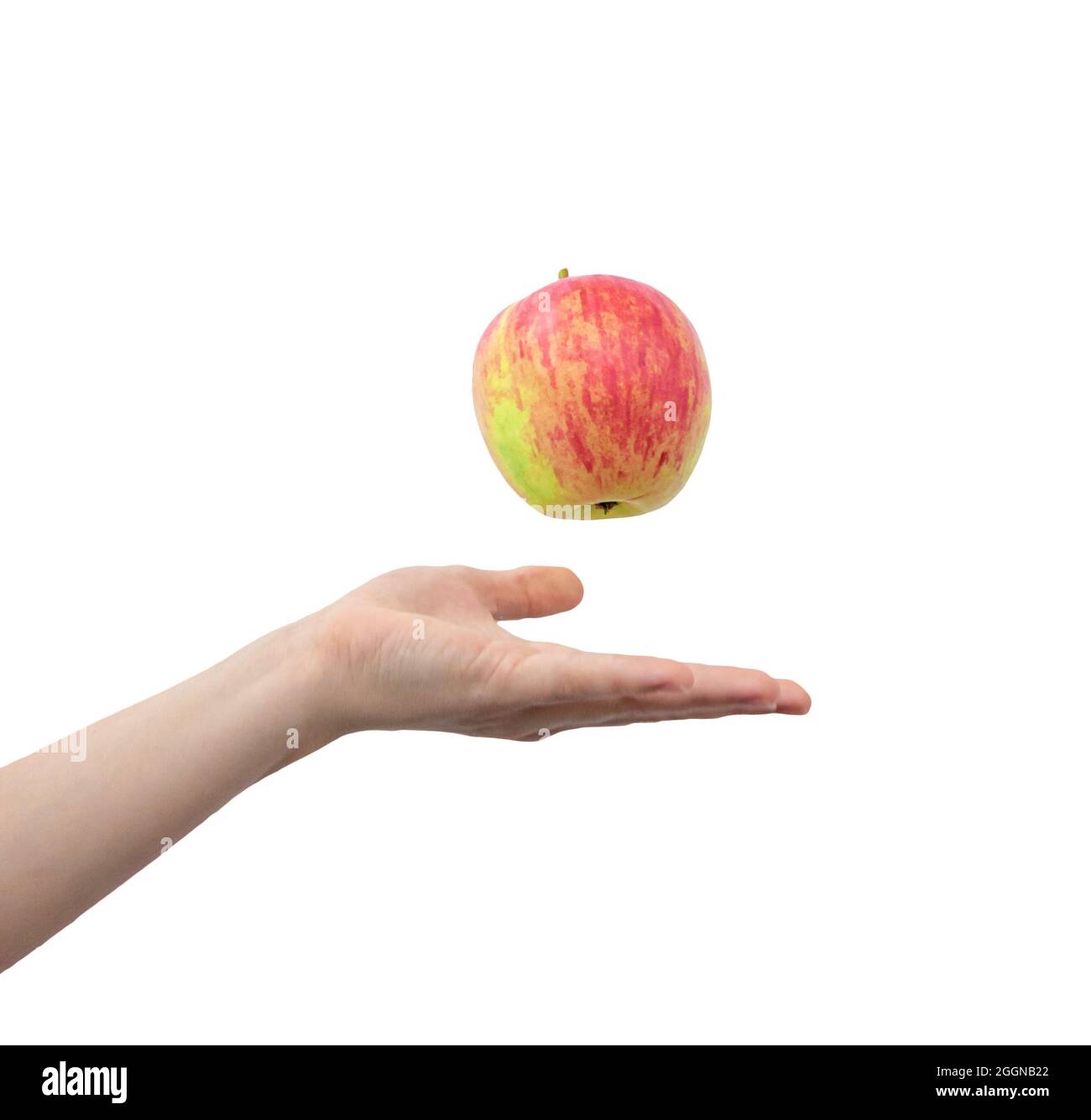 Hand throws up the apple isolated on a white background Stock Photo - Alamy