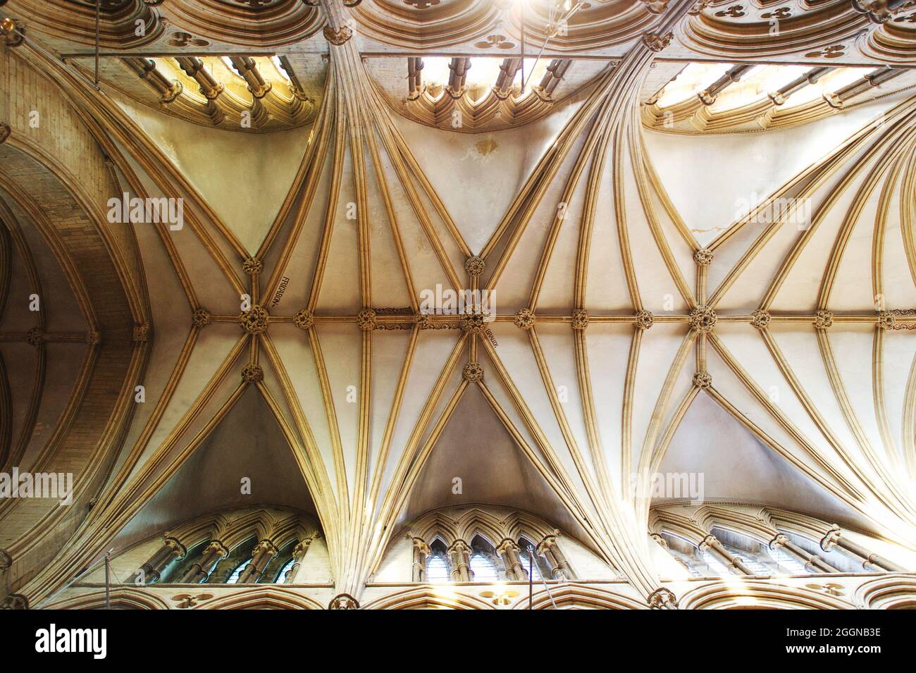 Vaulted Ceiling - Cathedral Church of the Blessed Virgin Mary of ...