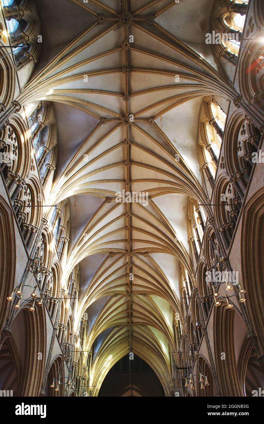 Vaulted Ceiling - Cathedral Church of the Blessed Virgin Mary of ...
