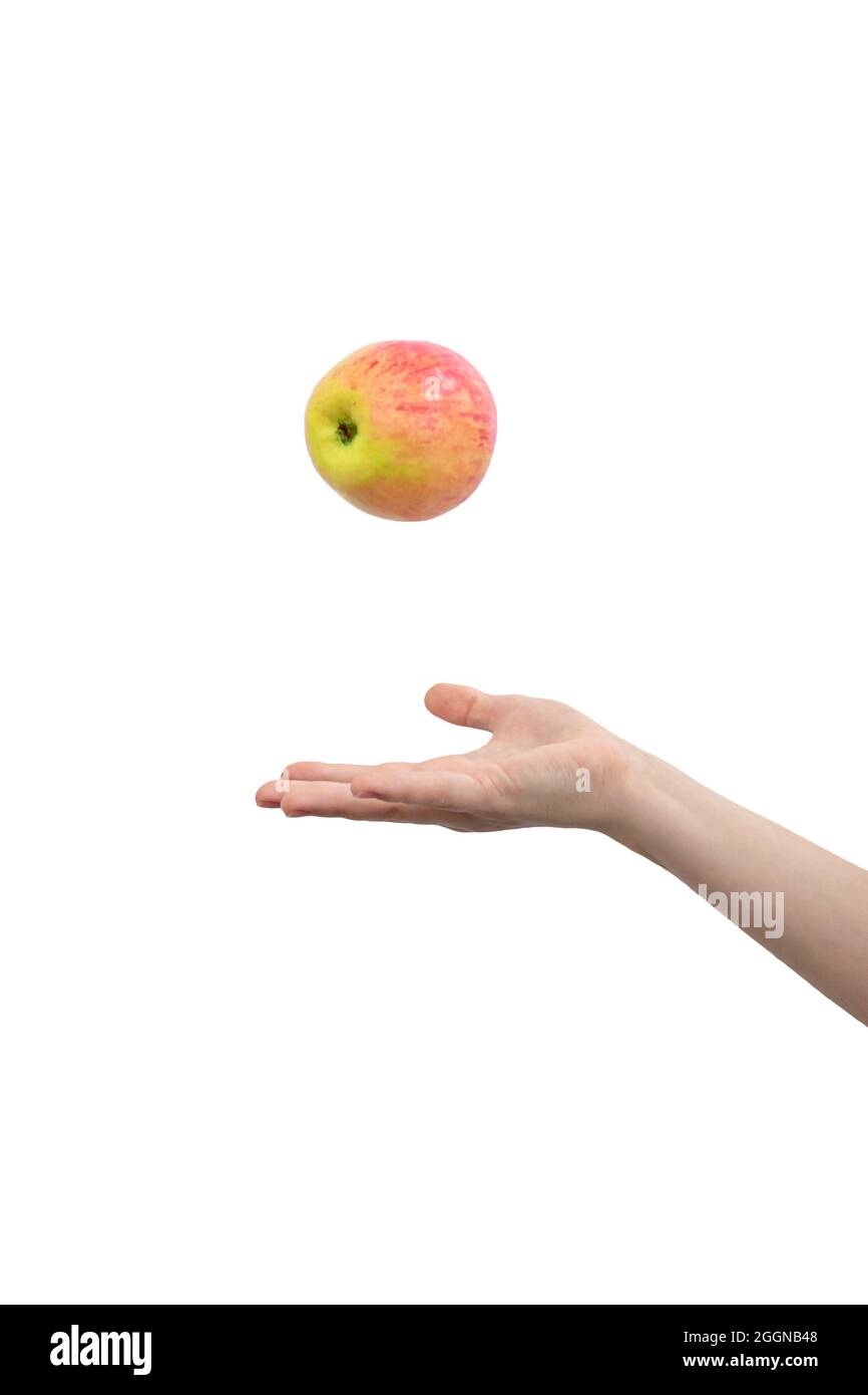 Female hand throws up apple, isolated on a white background Stock Photo ...