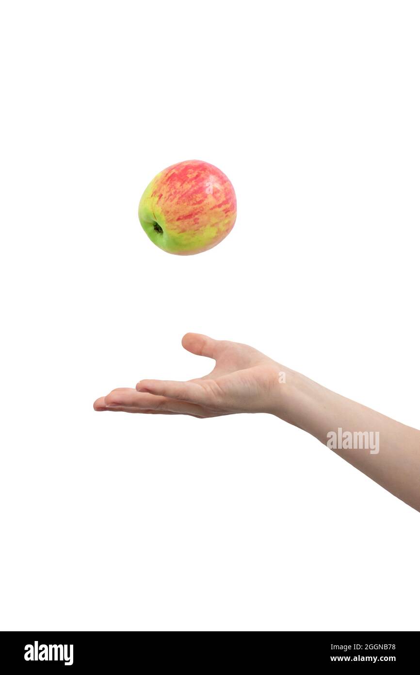 Hand throws up red apple isolated on a white background Stock Photo - Alamy