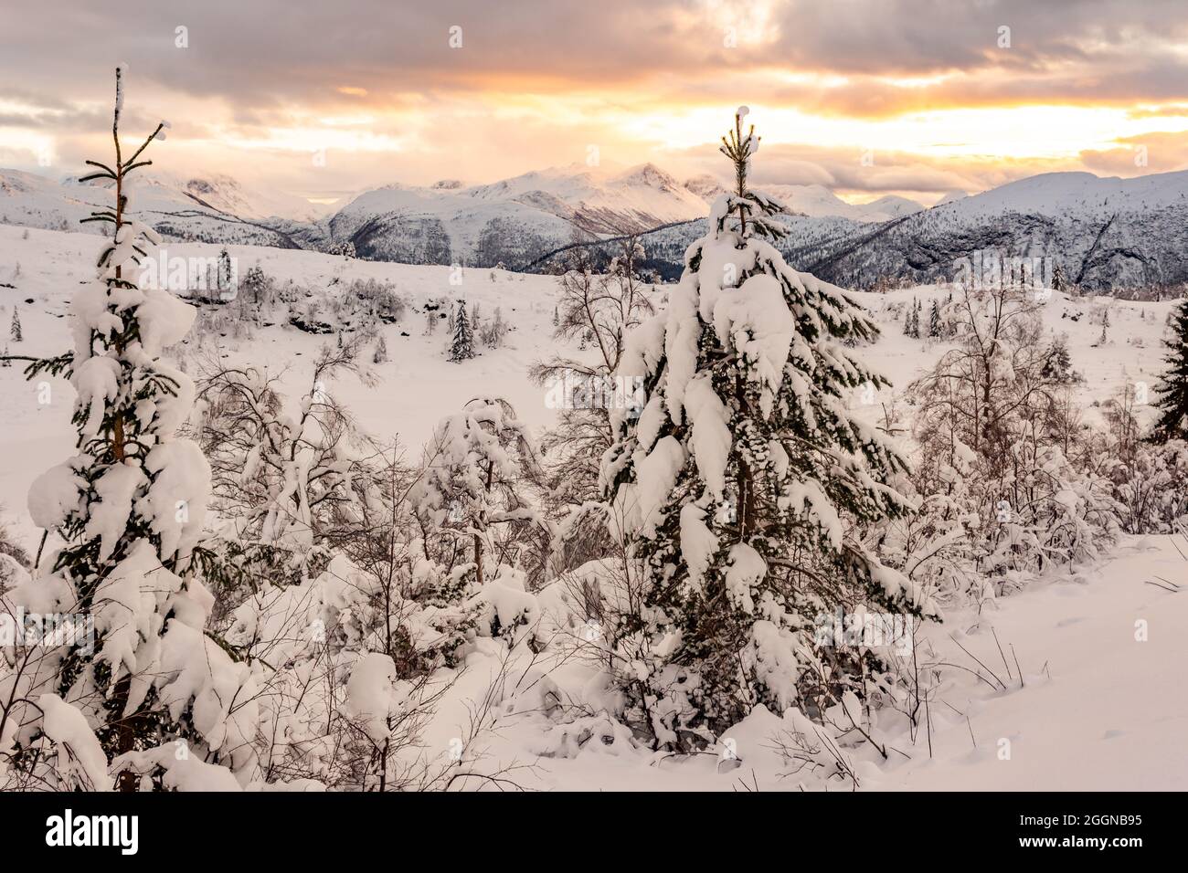 Winter landscape near Dinglavatnet lake. Beautiful sunset over ...