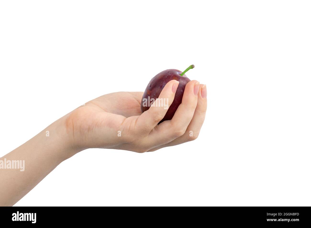 Hand with fresh plum isolated on a white background Stock Photo - Alamy