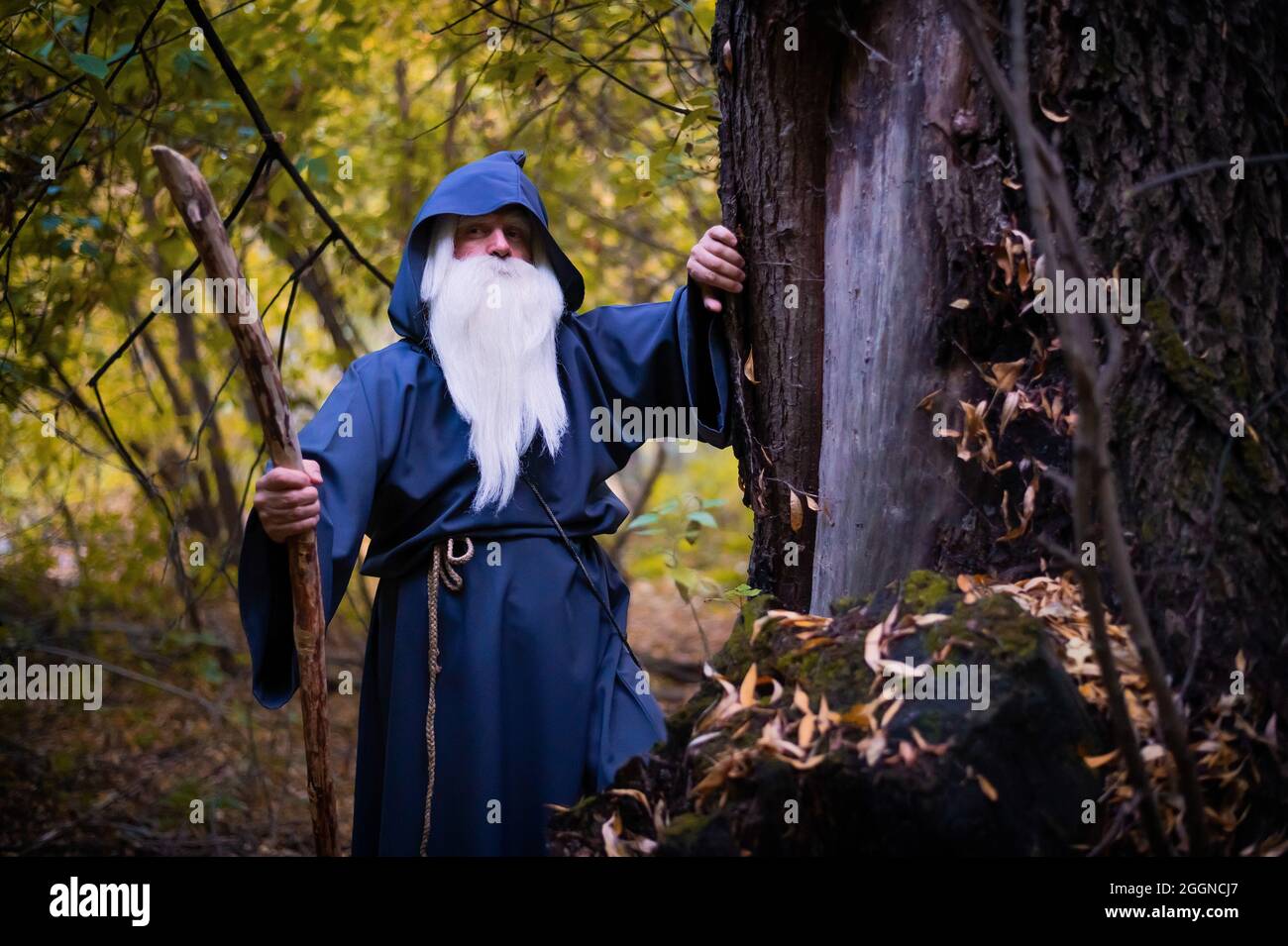 A wizard with a long gray beard and a cloak in a deep forest. An ...