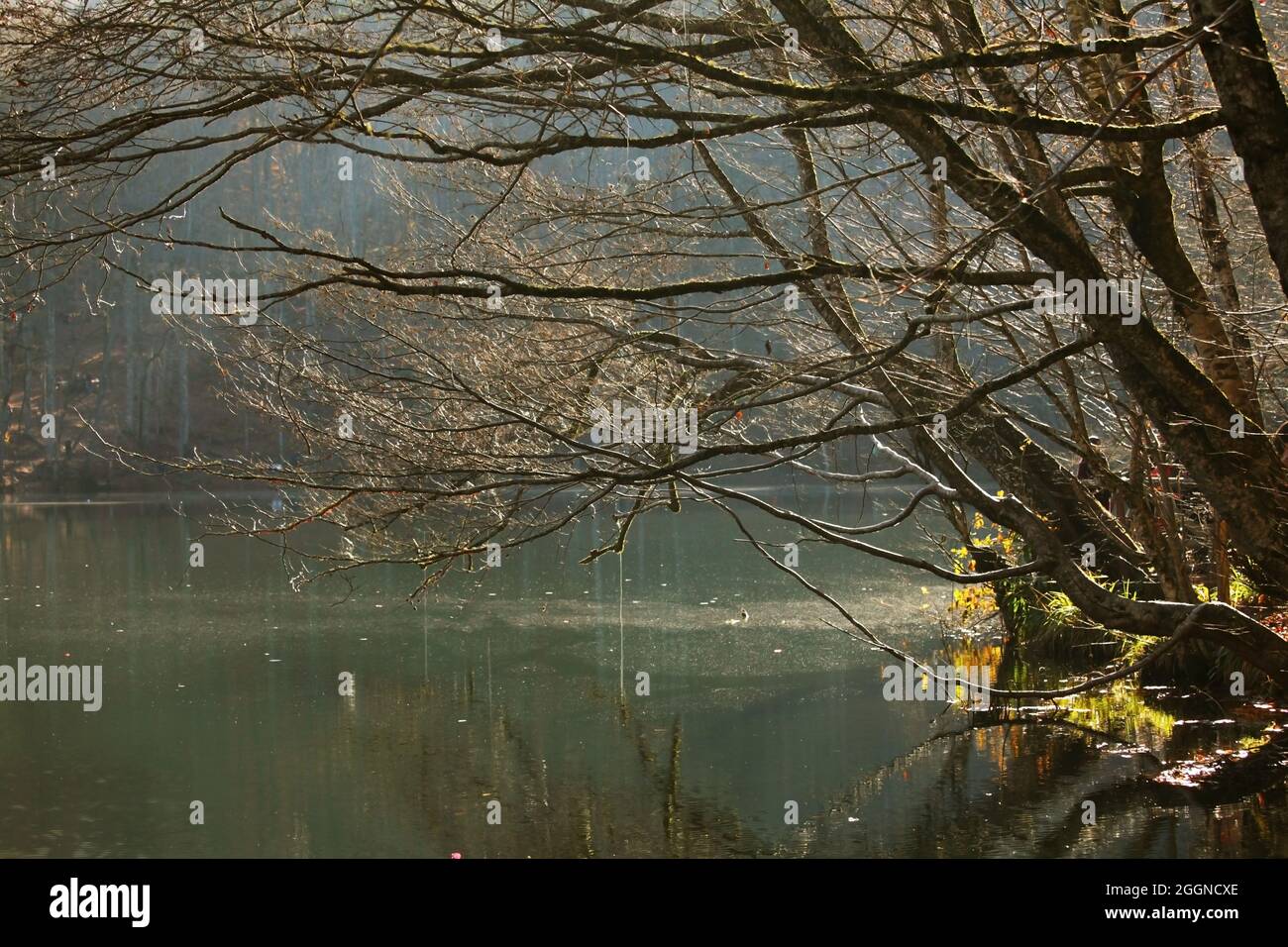 Buyuk Lake in Yedigoller National Park, Bolu City, Turkey Stock Photo ...