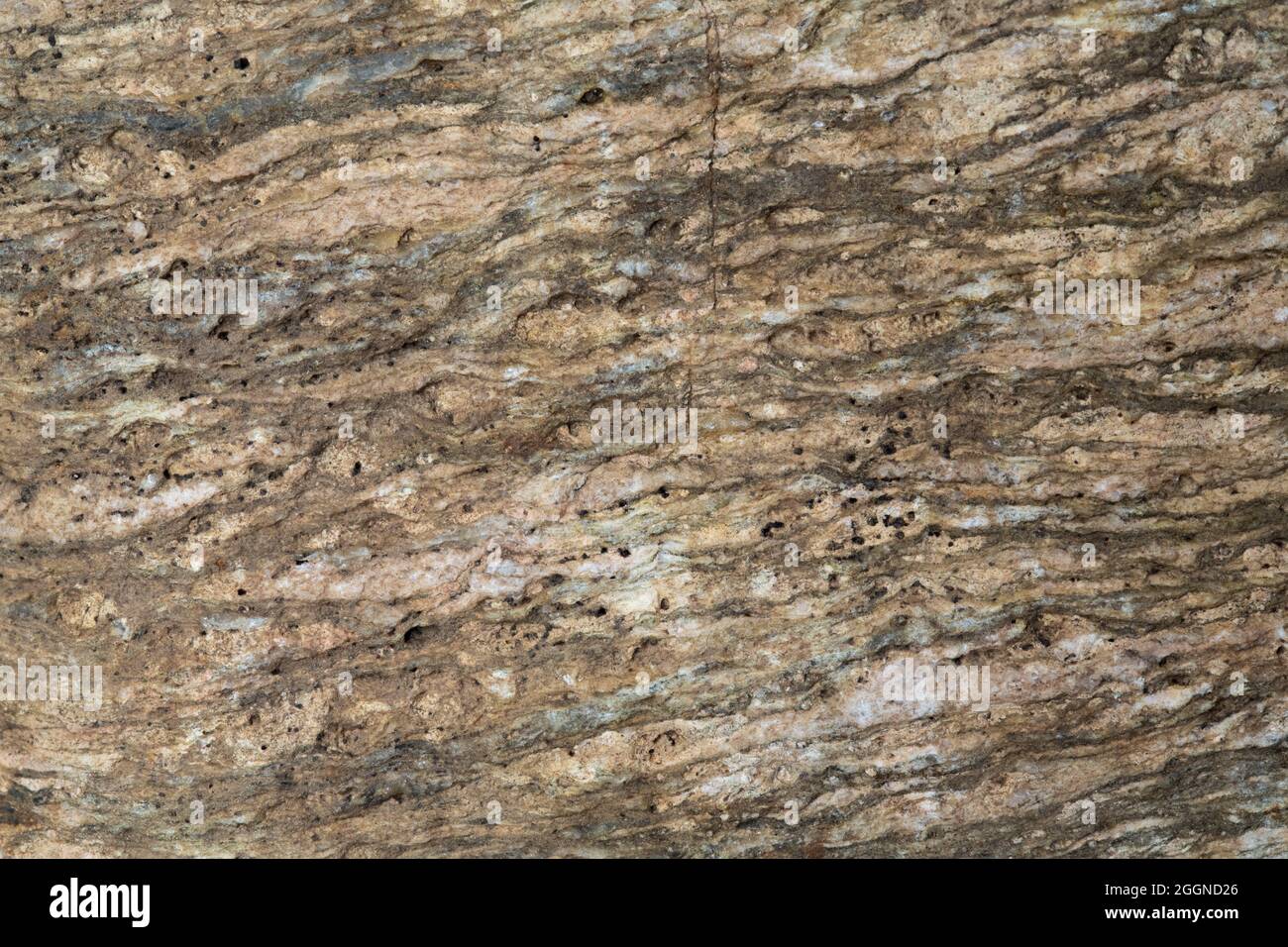 Mylonite metamorphic rock hi-res stock photography and images - Alamy