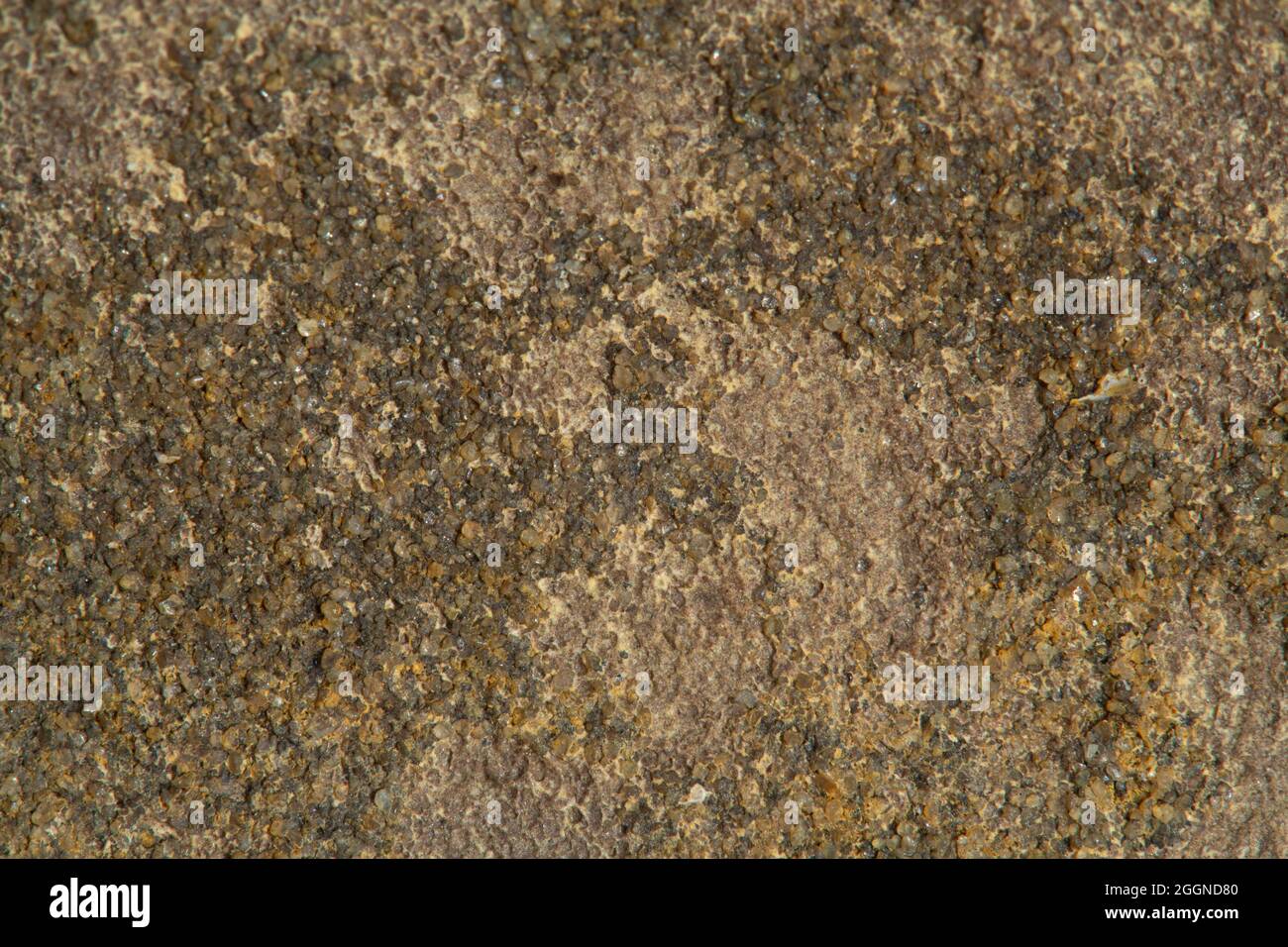 Stone texture surface hi-res stock photography and images - Alamy
