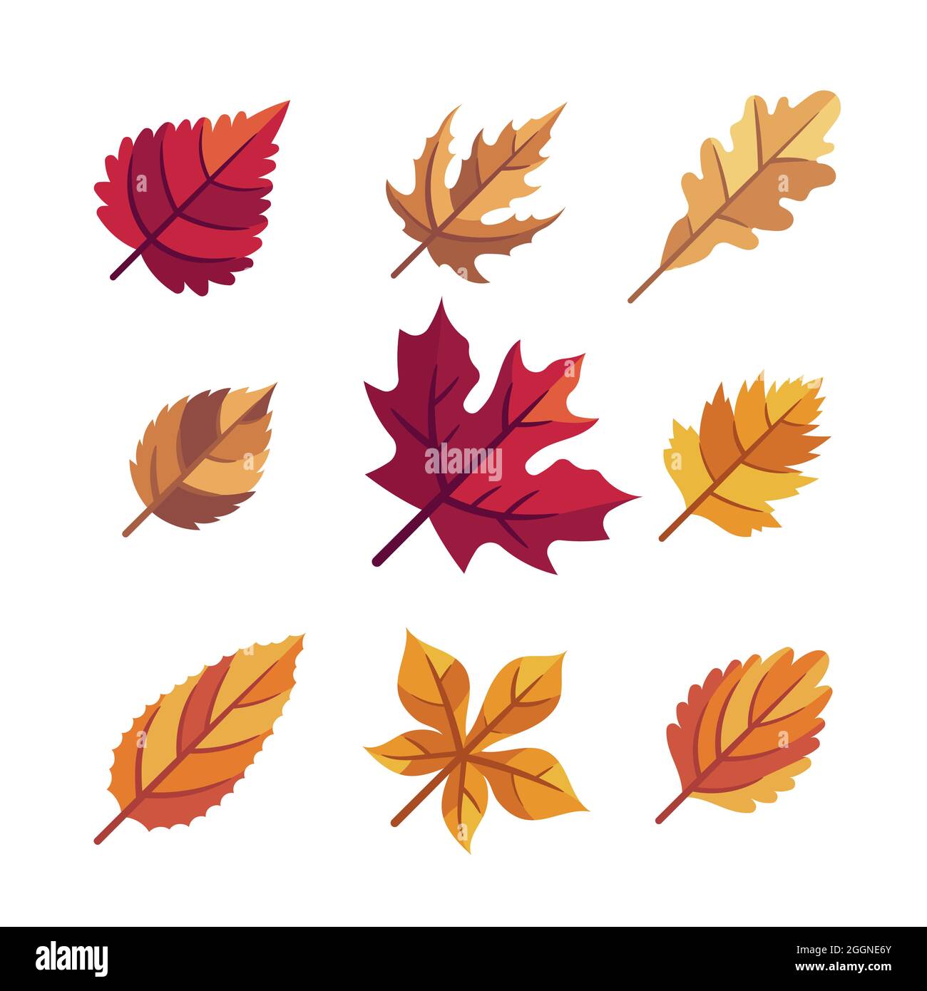 Flat autumn leaves collection Vector illustration Stock Vector Image ...