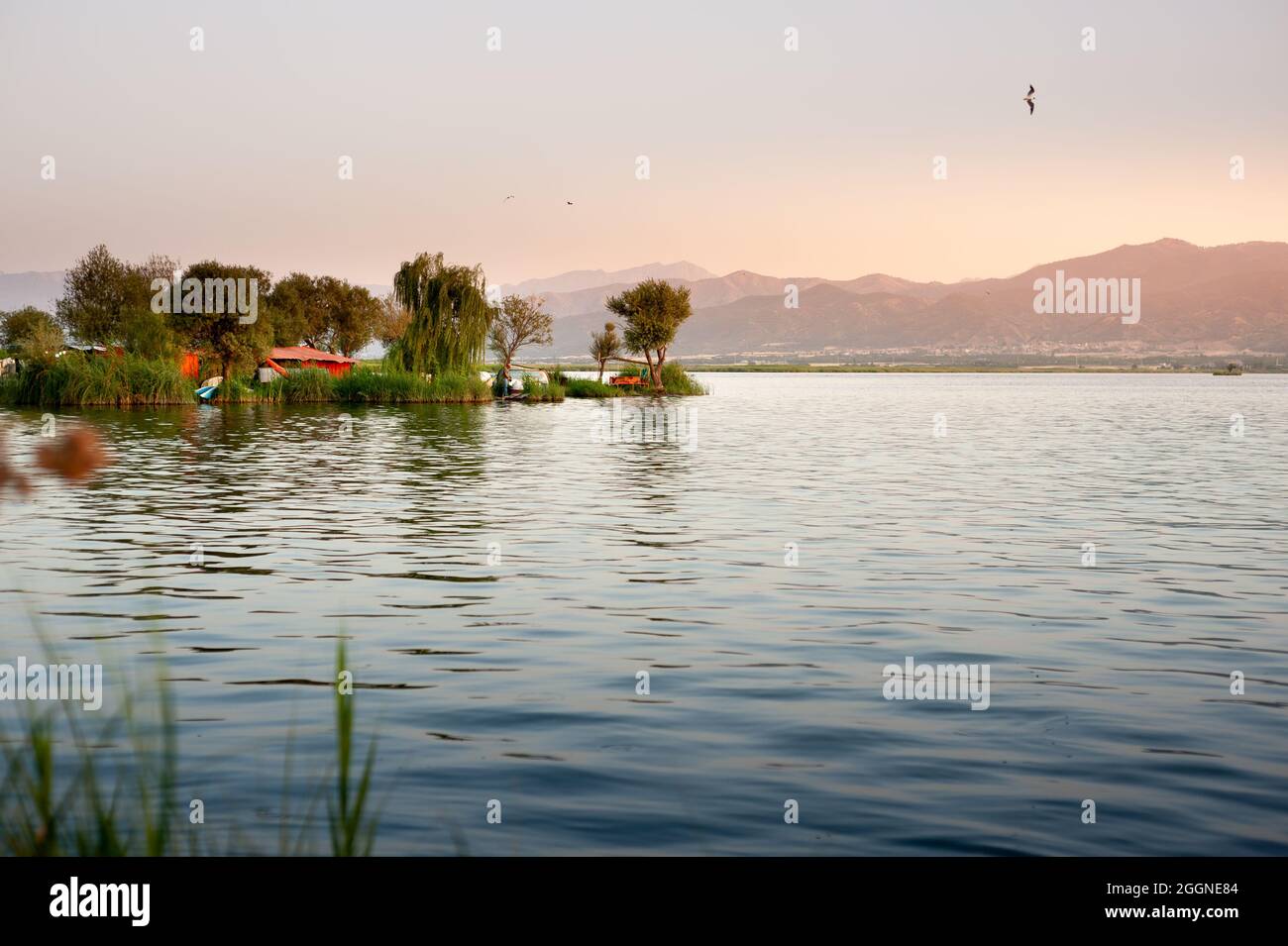 Marivan hi-res stock photography and images - Alamy