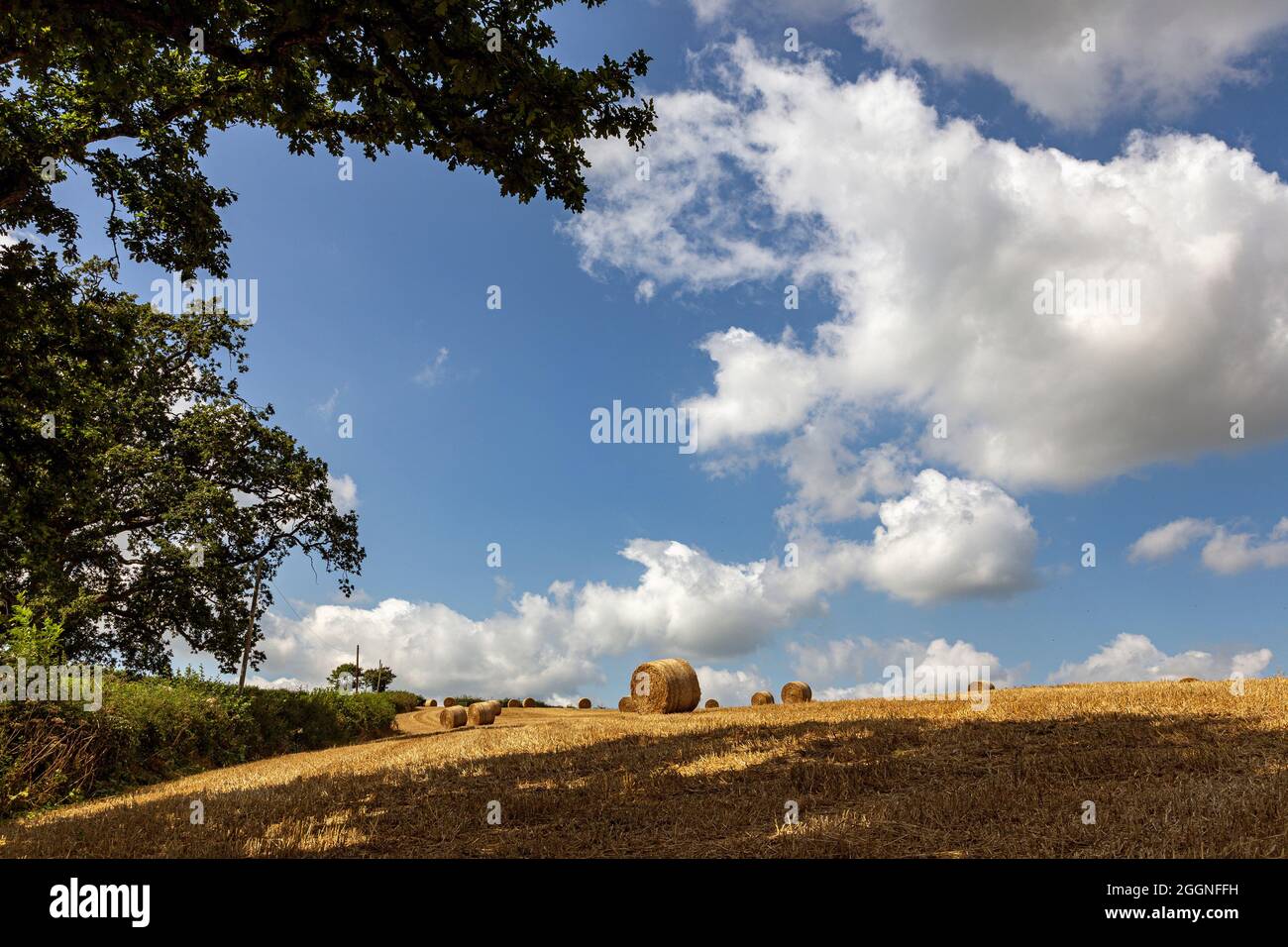 Devon countryside, farming,Devon farm, devon, england, farm, landscape ...