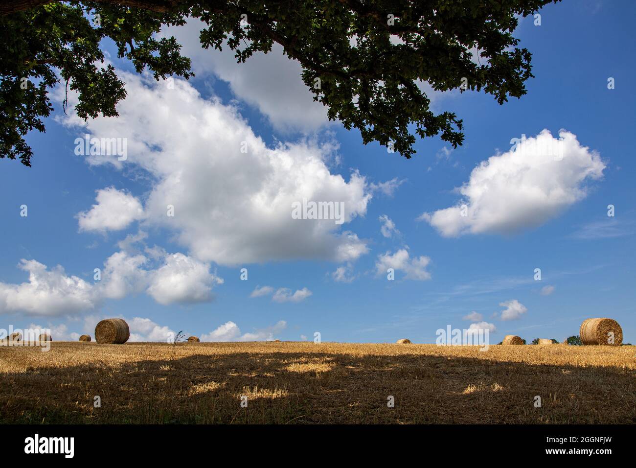 Devon countryside, farming,Devon farm, devon, england, farm, landscape ...
