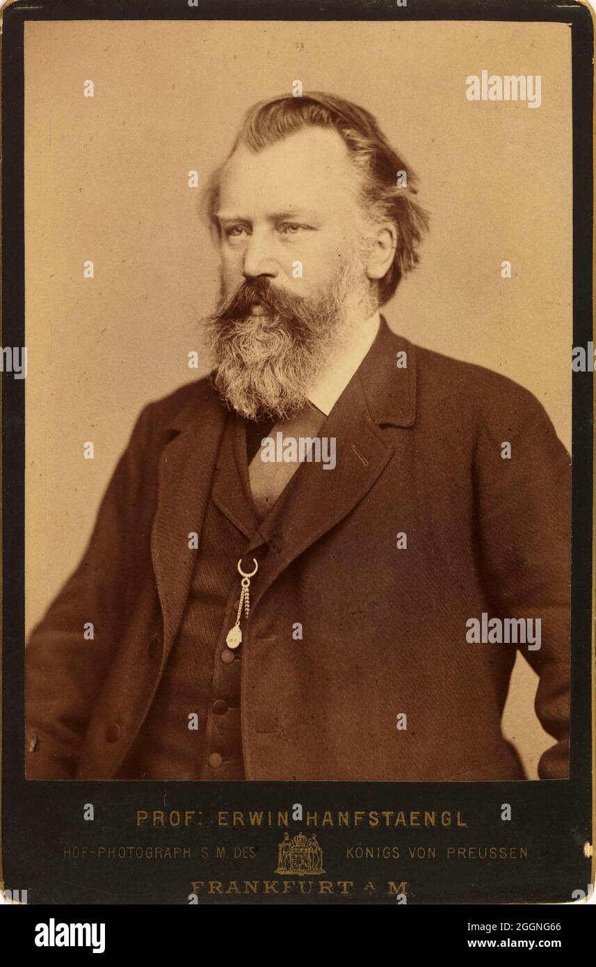 Portrait of the composer Johannes Brahms (1833-1897). Museum: PRIVATE ...