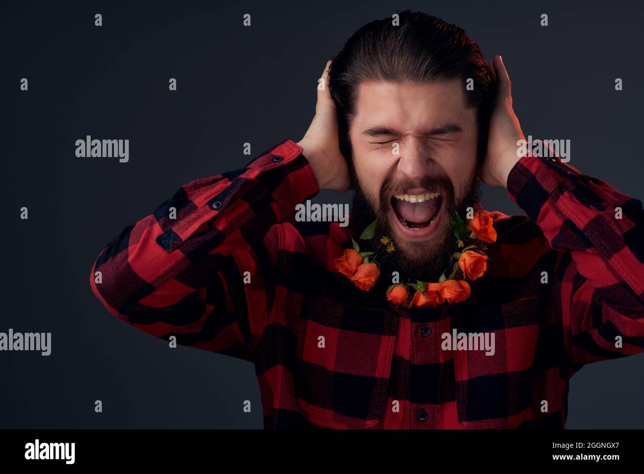 bearded man with flowers in a beard in a plaid shirt dark background ...
