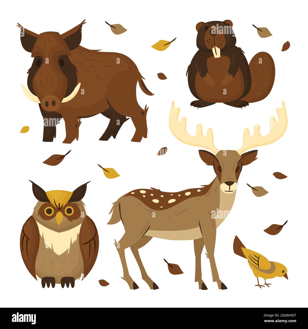 Hand drawn autumn animals collection Vector illustration Stock Vector ...