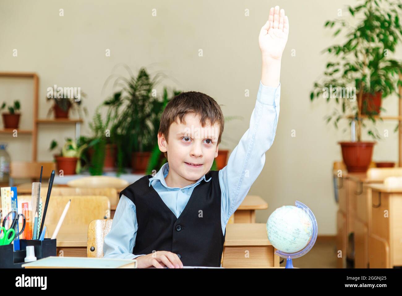 Serious schoolboy in the classroom. Primary school student. Back to ...