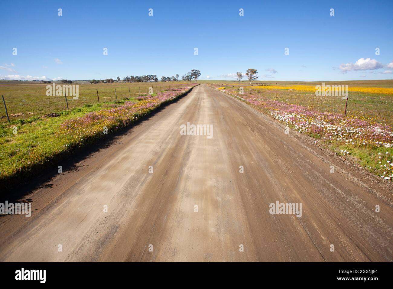 Hantam National Botanical Gardens Stock Photo - Alamy