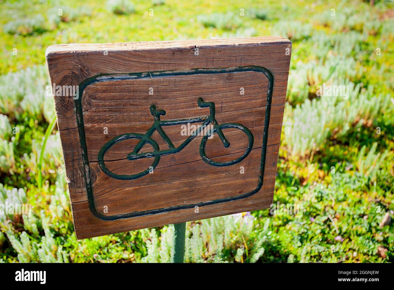 Pathway sign in botanical gardens hi-res stock photography and images ...