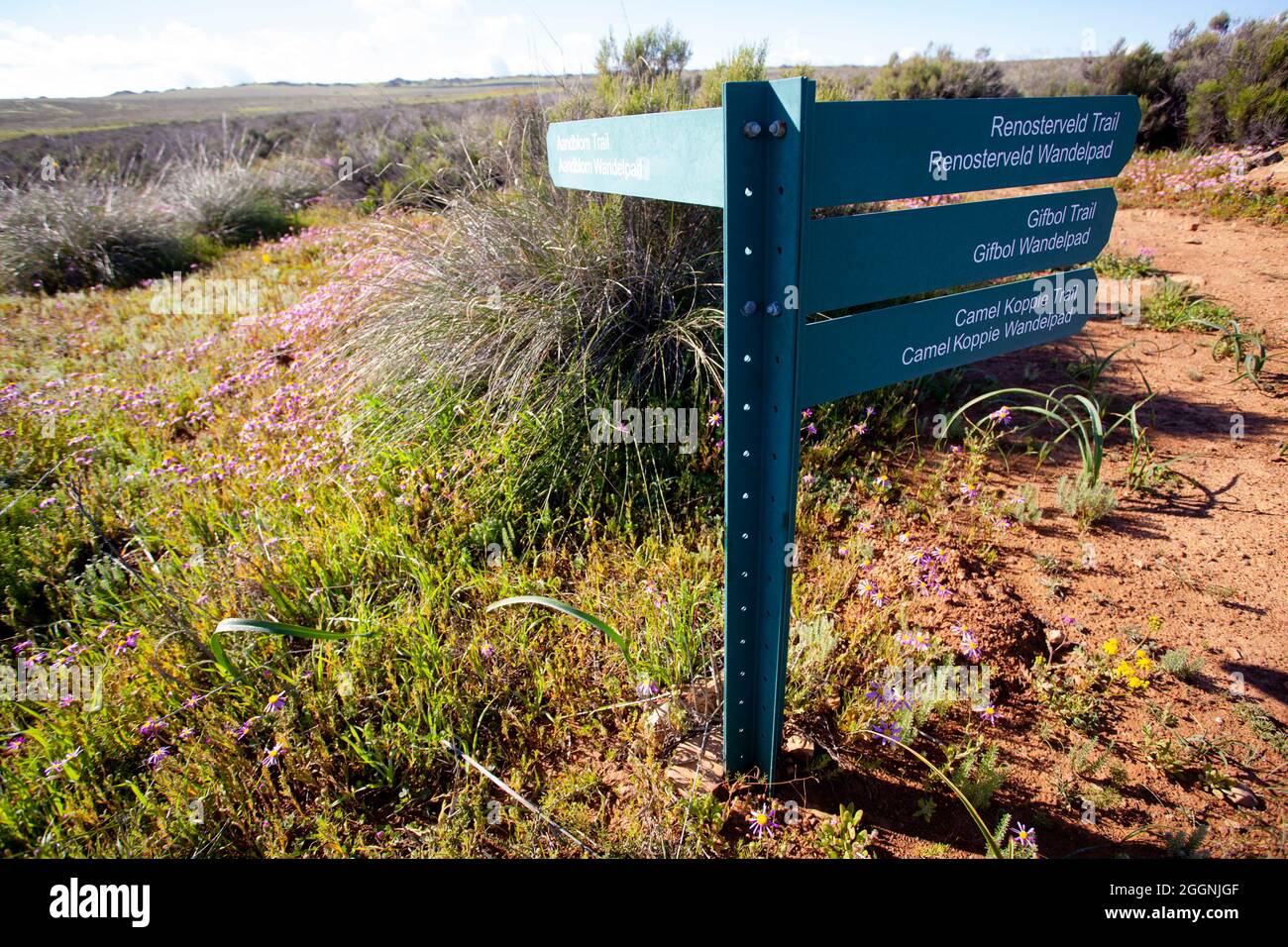 Namaqualand national park hi-res stock photography and images - Alamy