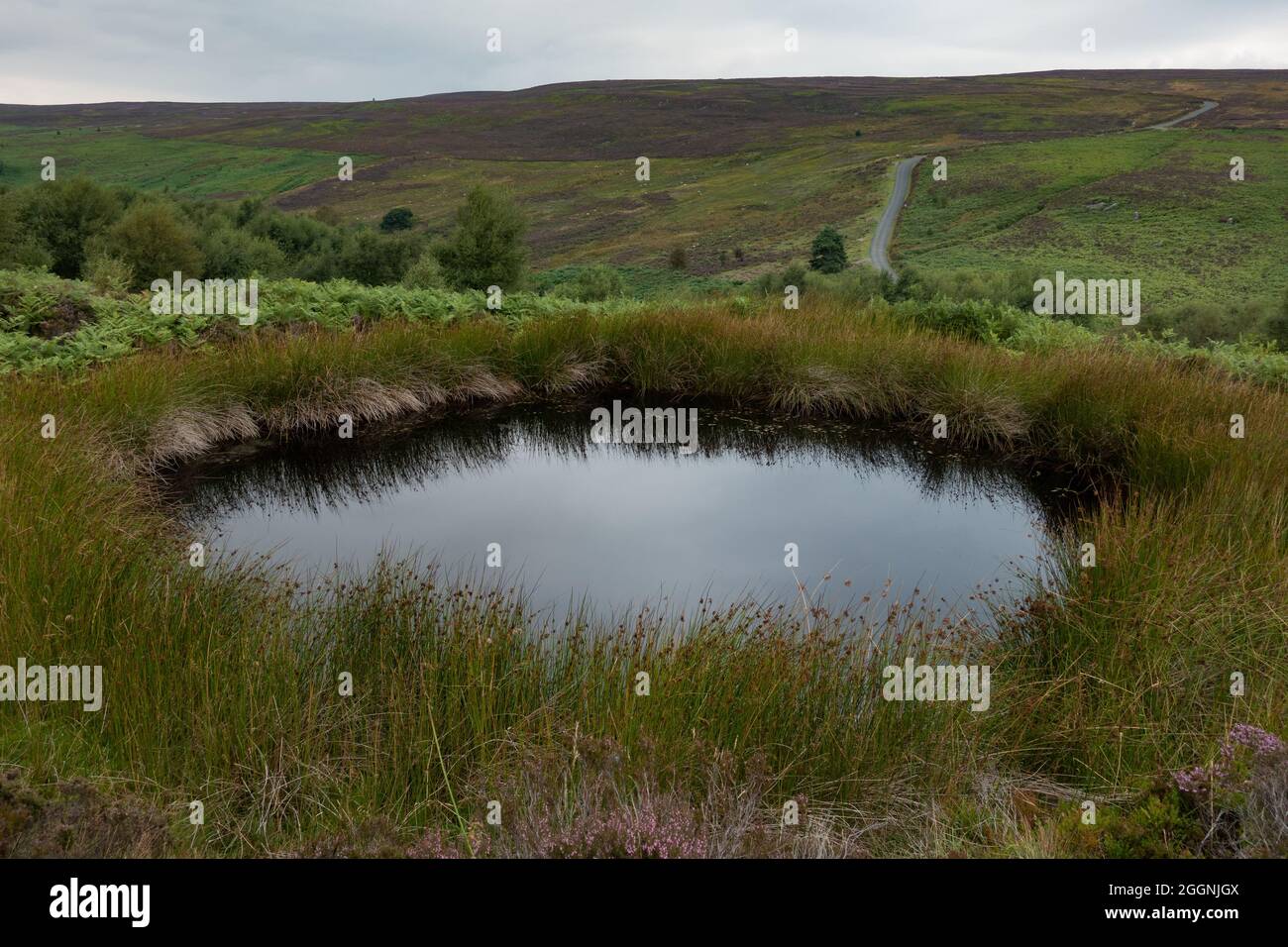 Shell explosion hi-res stock photography and images - Alamy